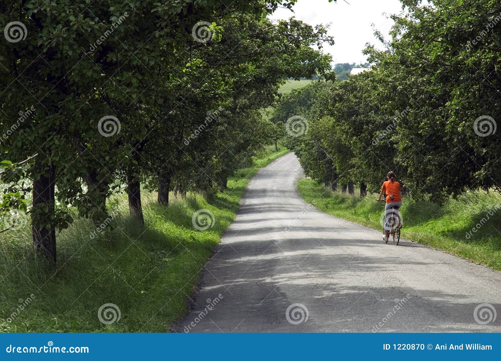 Girl Riding Bicycle on Road through Trees Stock Photo - Image of rural ...