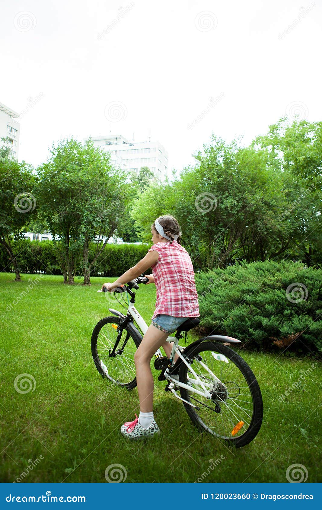 Girl Riding Her Bicycle in the Park Stock Photo - Image of park ...