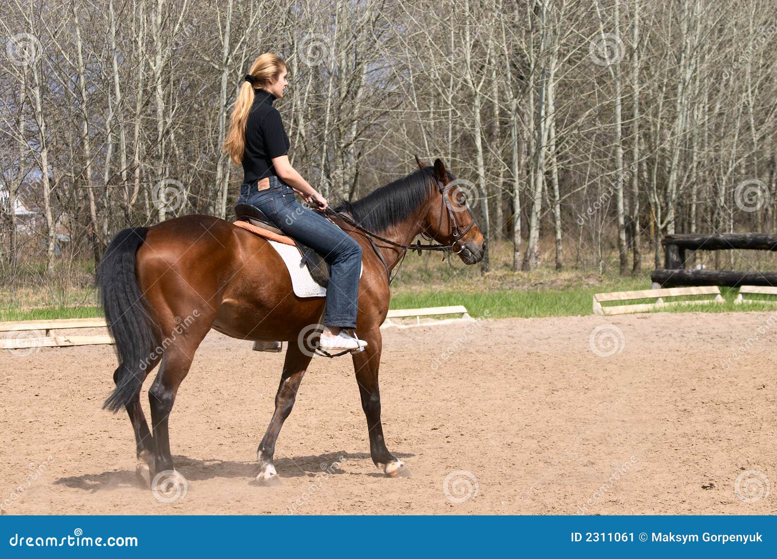 Girl riding on horse stock image. Image of area, leisure - 2311061