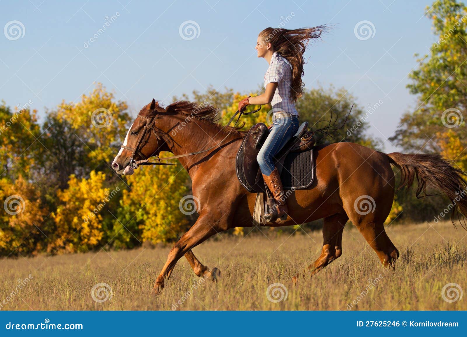 Girl riding a horse stock photo. Image of horse, brunette - 27625246