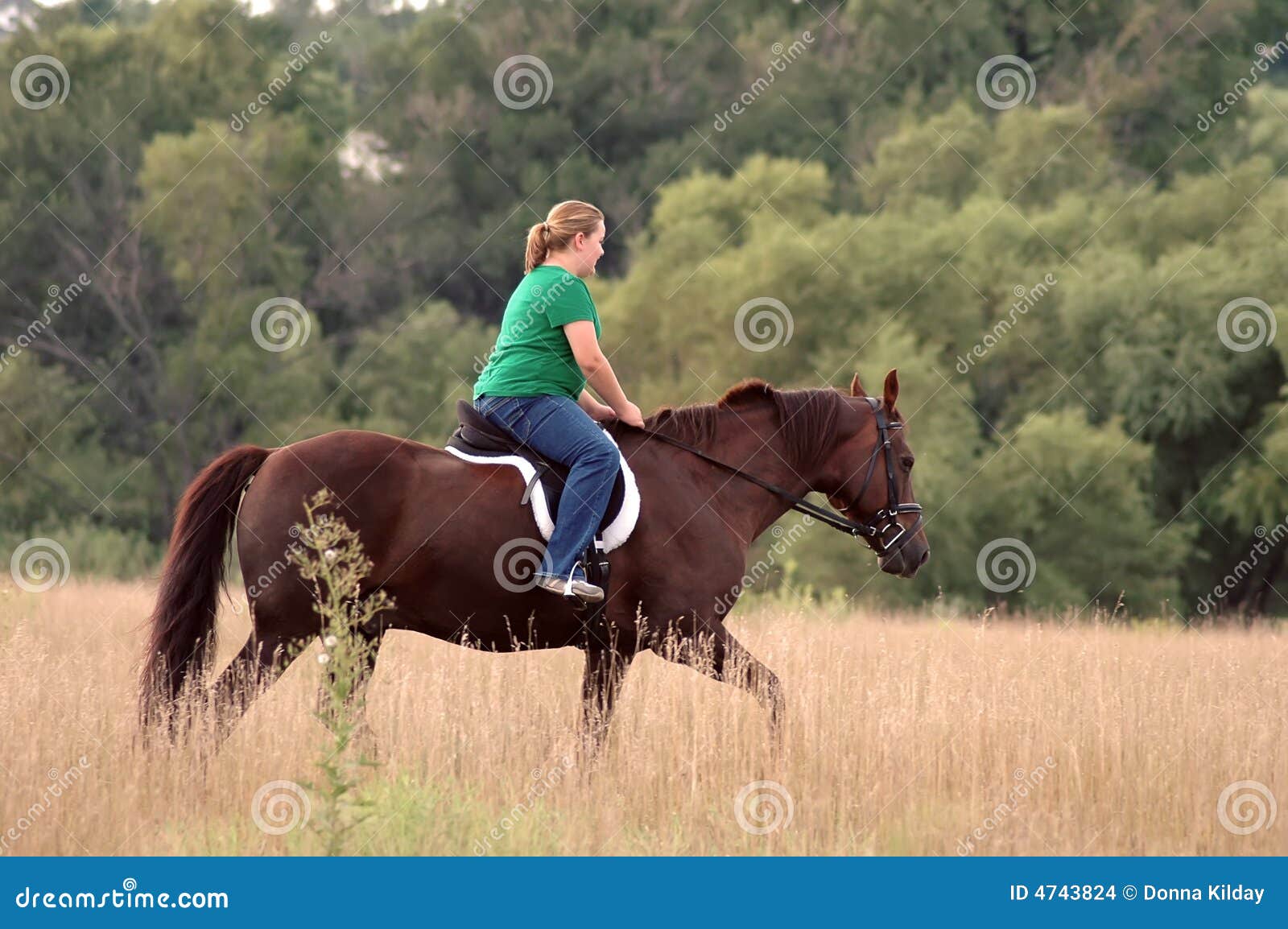Girl riding horse stock photo. Image of english, nature - 4743824