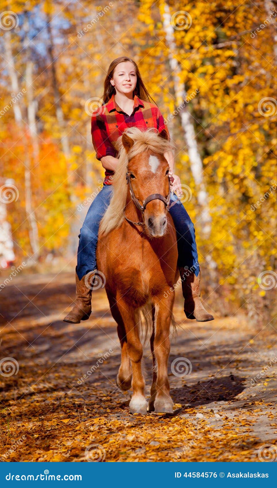 Girl Riding Horse in the Fall Time Stock Photo - Image of vacation ...