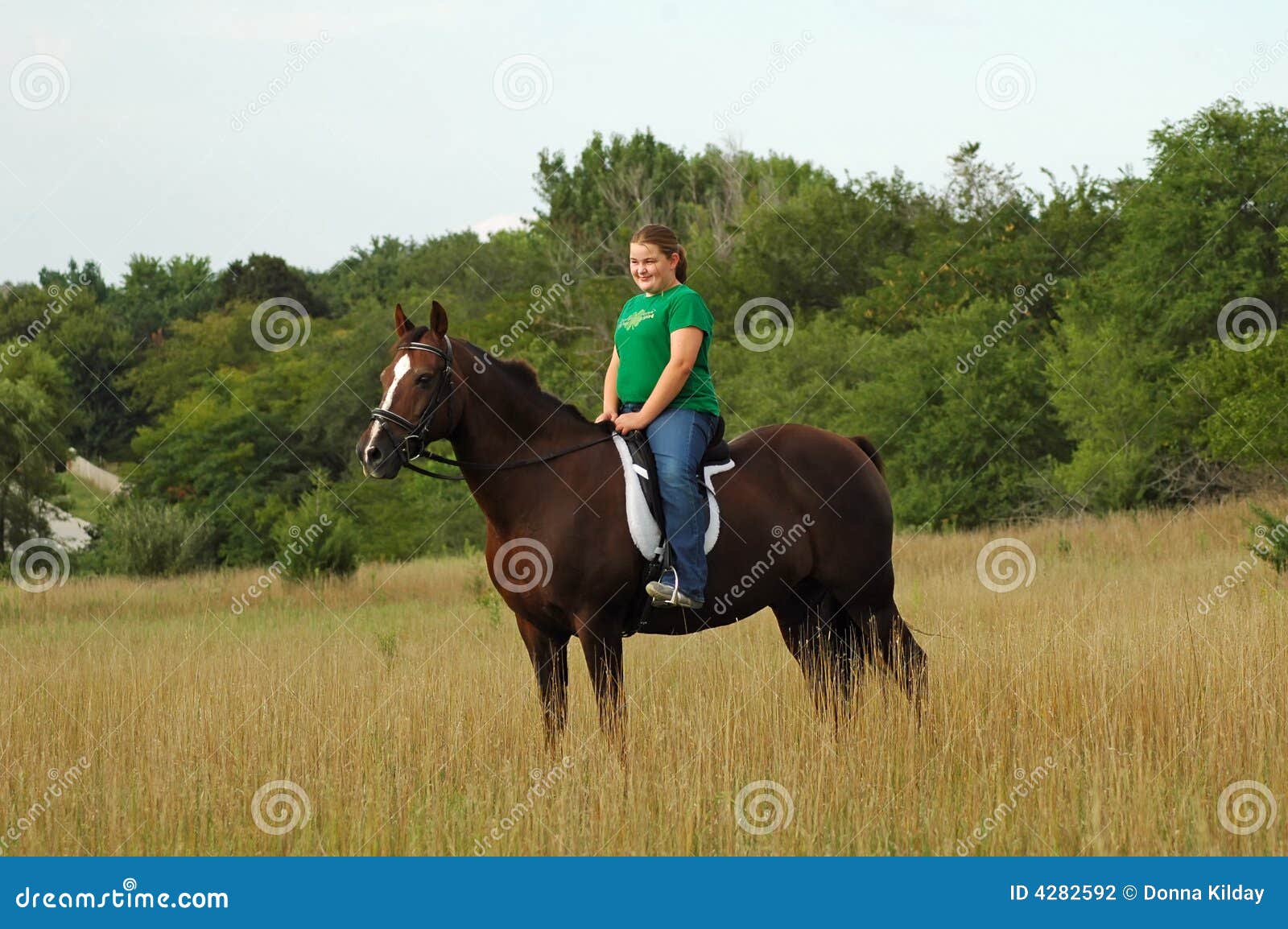 Girl riding horse in field stock photo. Image of field - 4282592