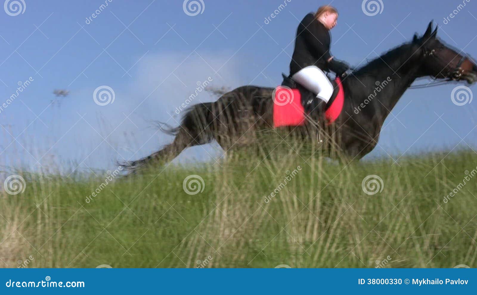 Girl Riding a Horse in the Steppe Stock Video Footage - Video of ...