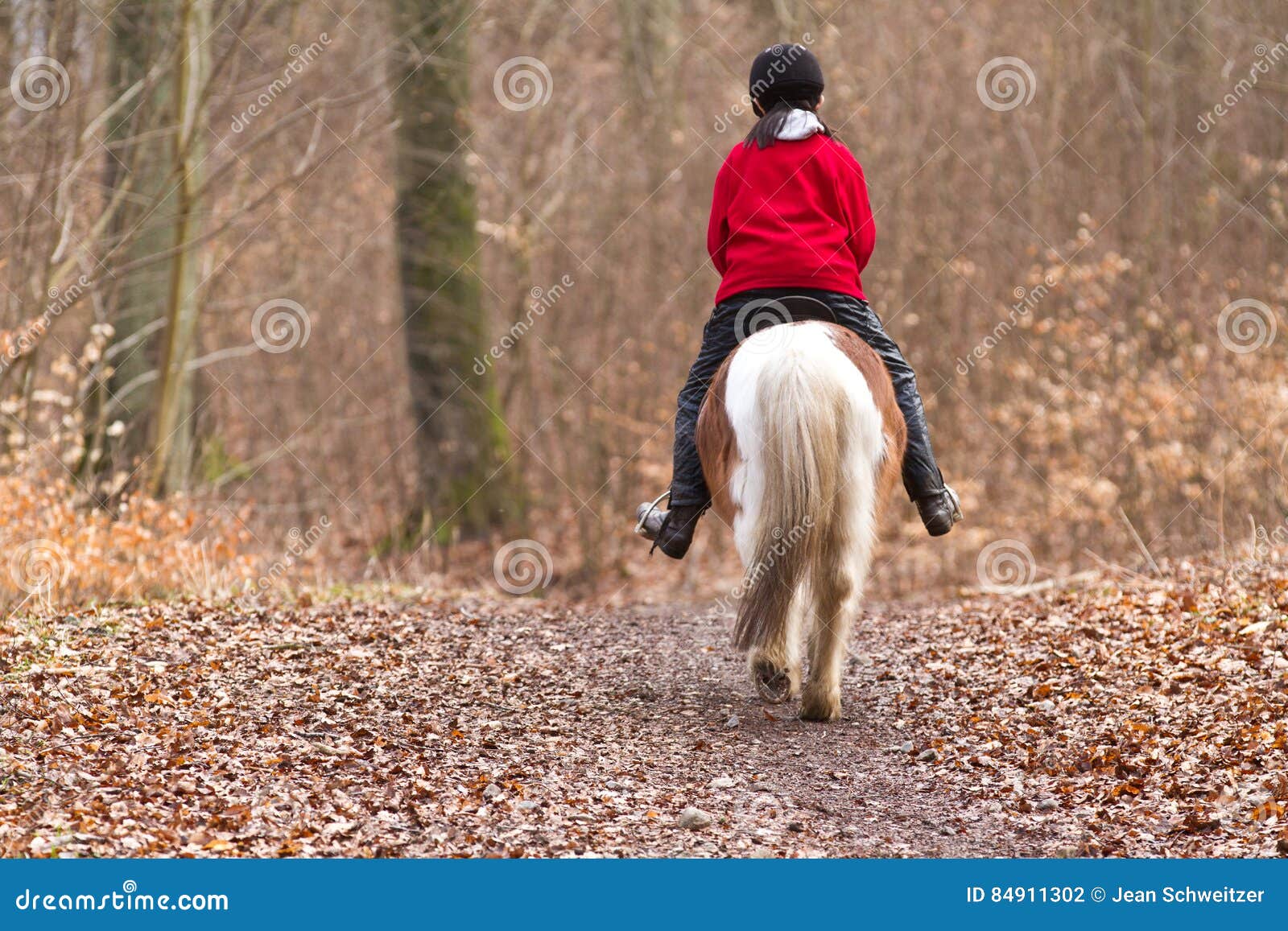 Girl riding a pony stock photo. Image of portrait, pony - 84911302