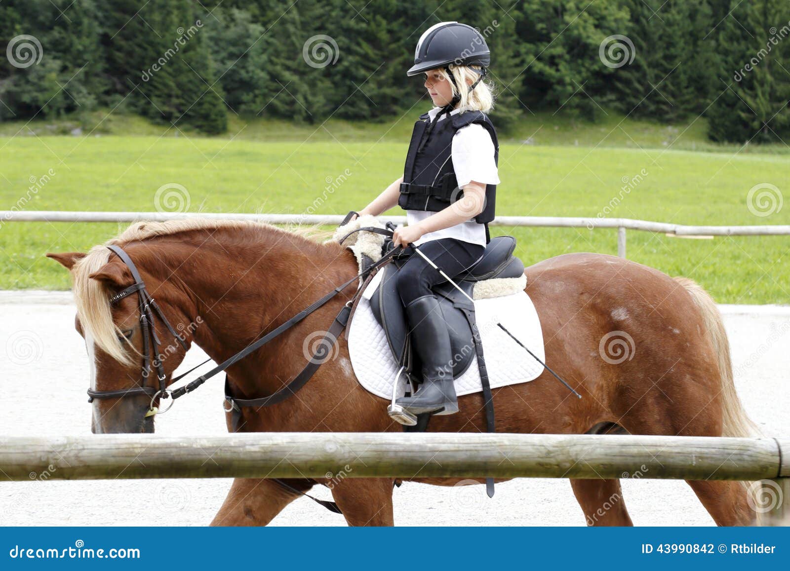 Girl is riding stock photo. Image of horseback, protective - 43990842