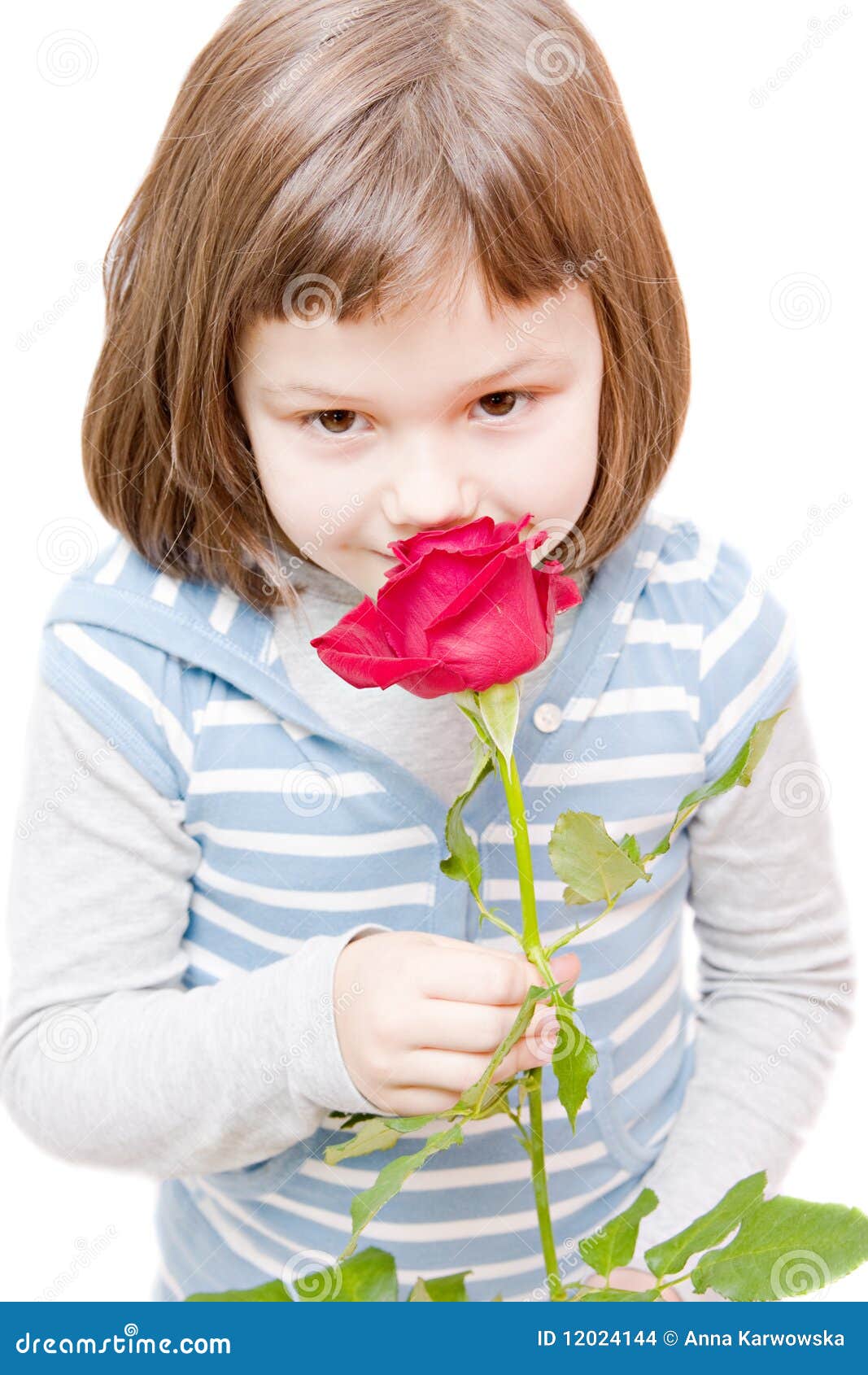 Girl with a rose stock photo. Image of human, child, bloom - 12024144
