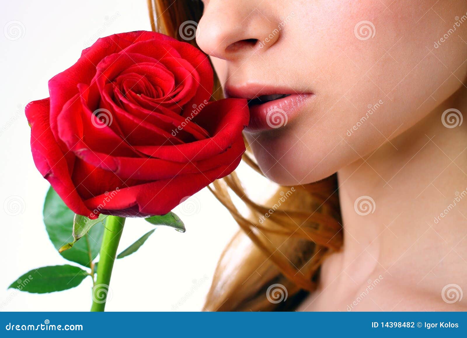 Girl and rose stock photo. Image of healthy, glamour - 14398482