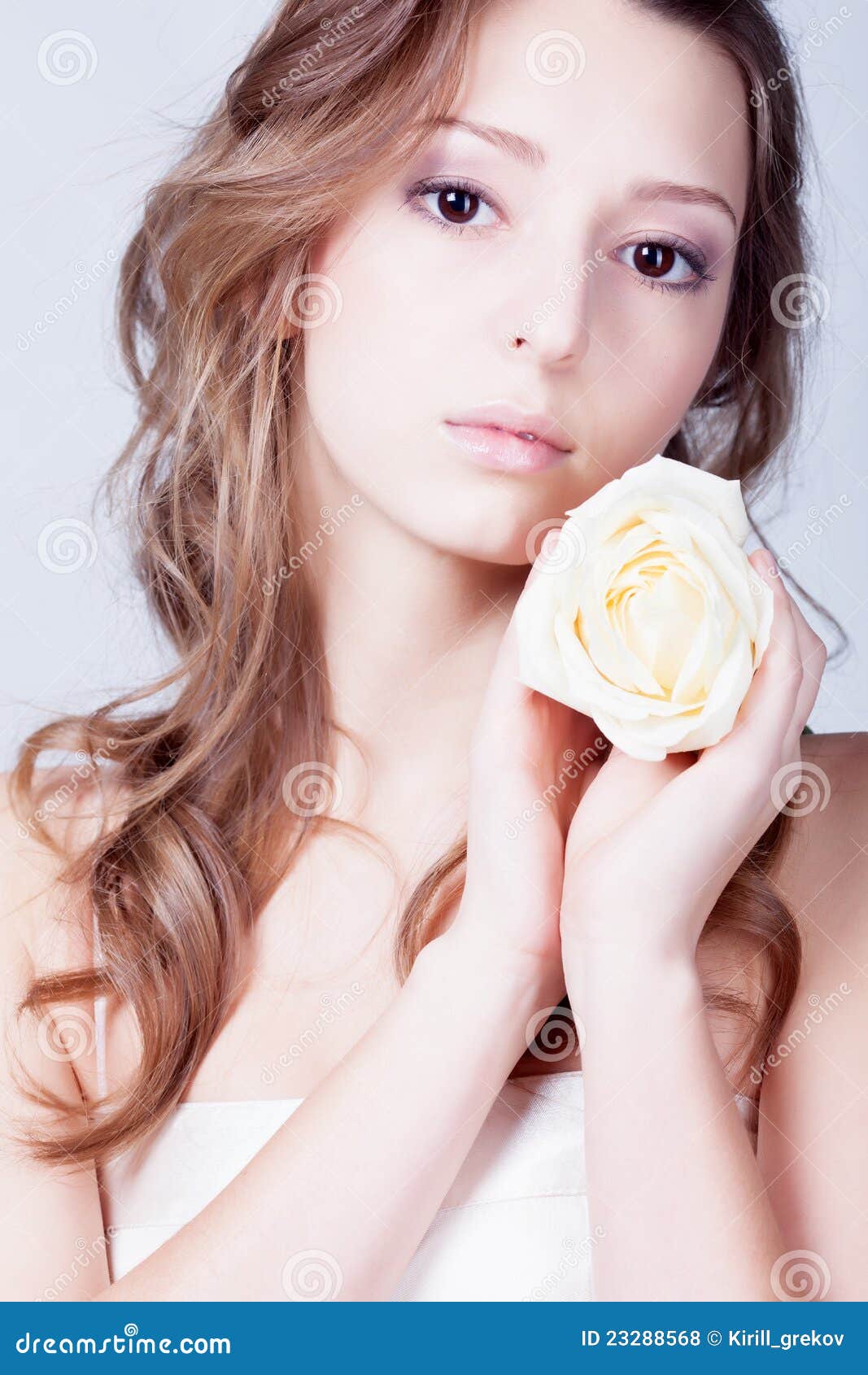Girl with rose stock photo. Image of tender, cute, sensitive - 23288568