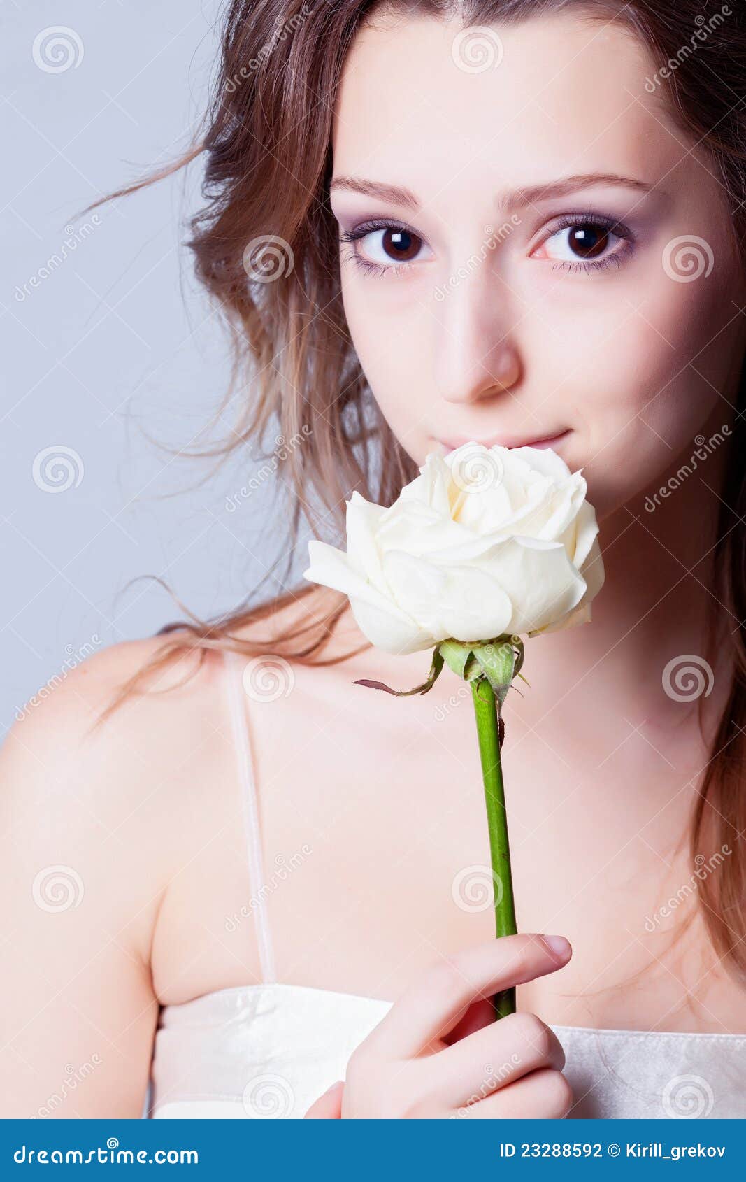 Girl with rose stock photo. Image of elegant, romance - 23288592