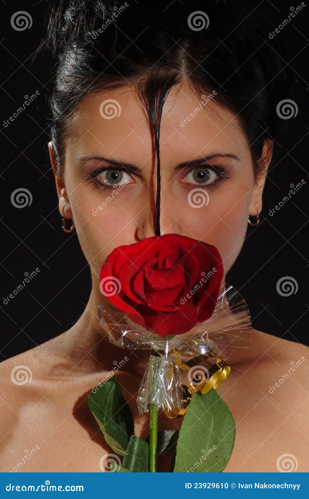Girl with a rose stock photo. Image of hairstyle, long - 23929610