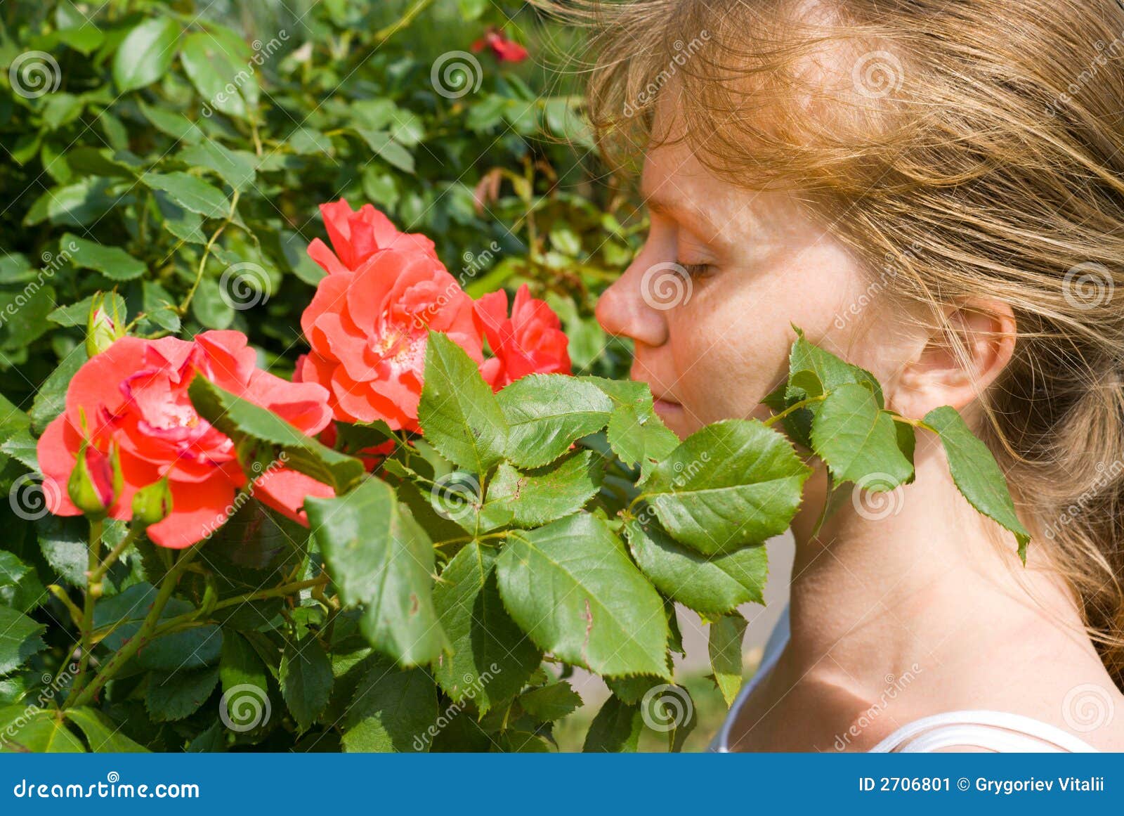 Girl and rose stock image. Image of summer, fresh, enjoys - 2706801