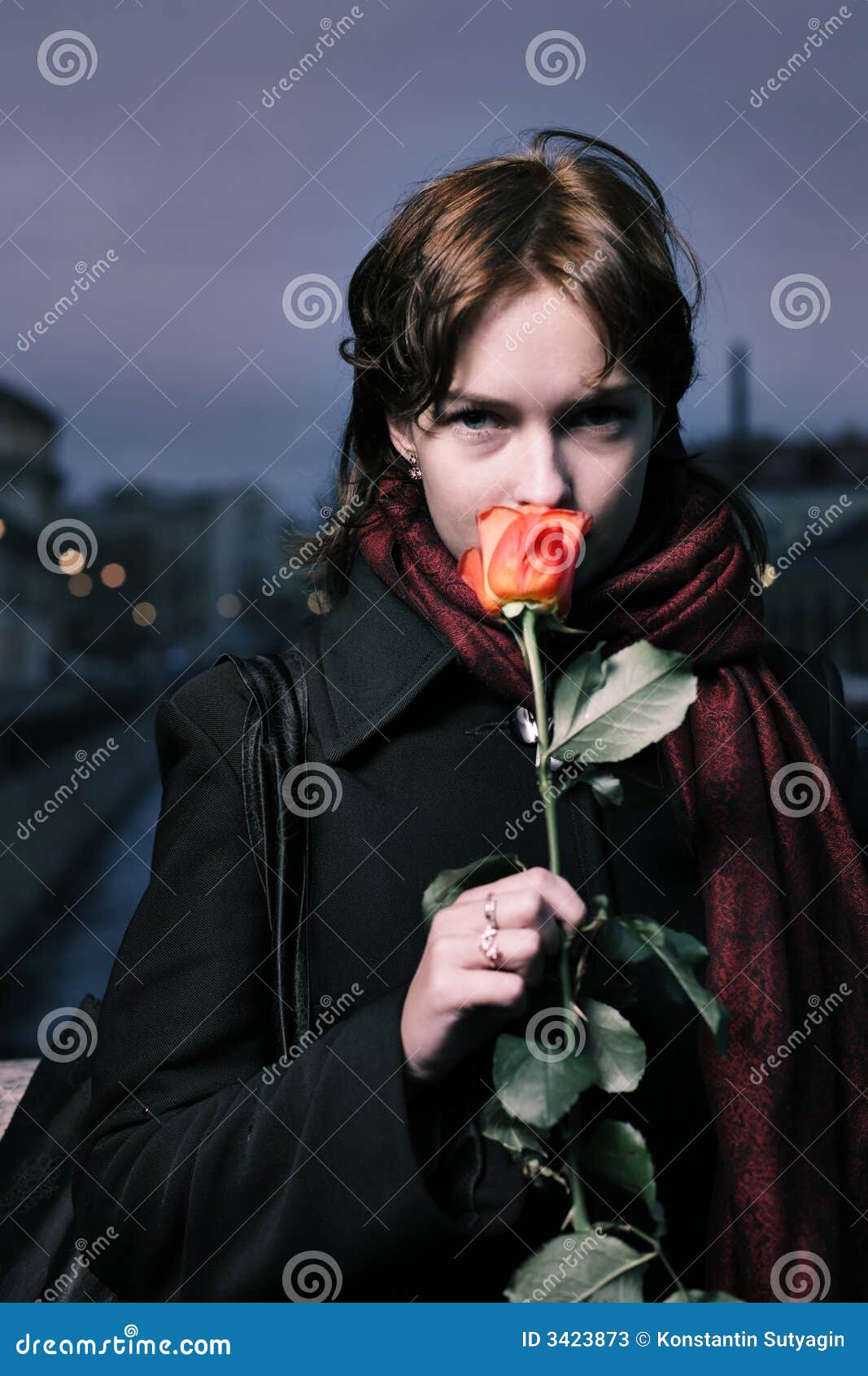 Girl rose stock image. Image of fashion, evening, beautiful - 3423873