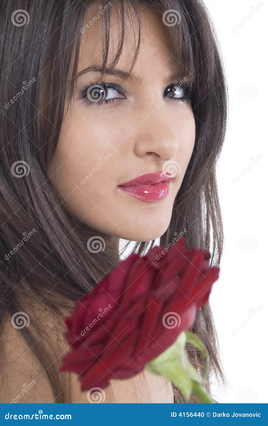 Girl and rose stock photo. Image of romantic, love, lady - 4156440