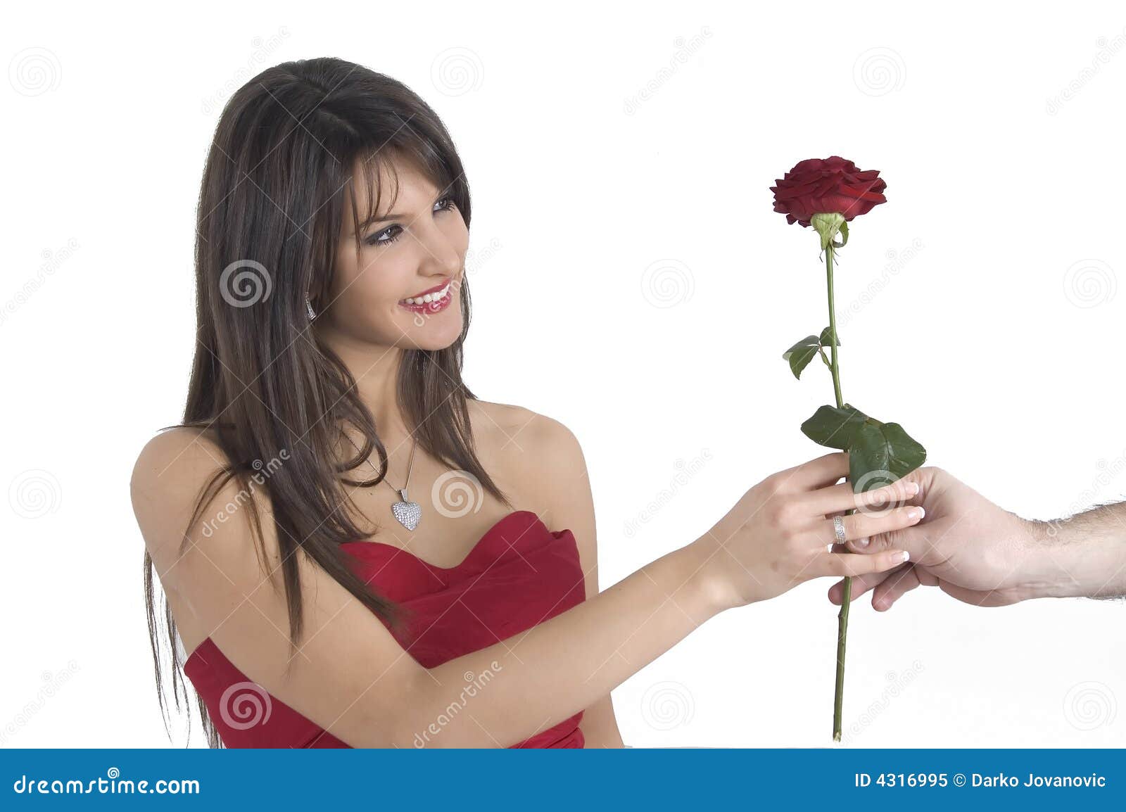 Girl And Rose Picture. Image: 4316995