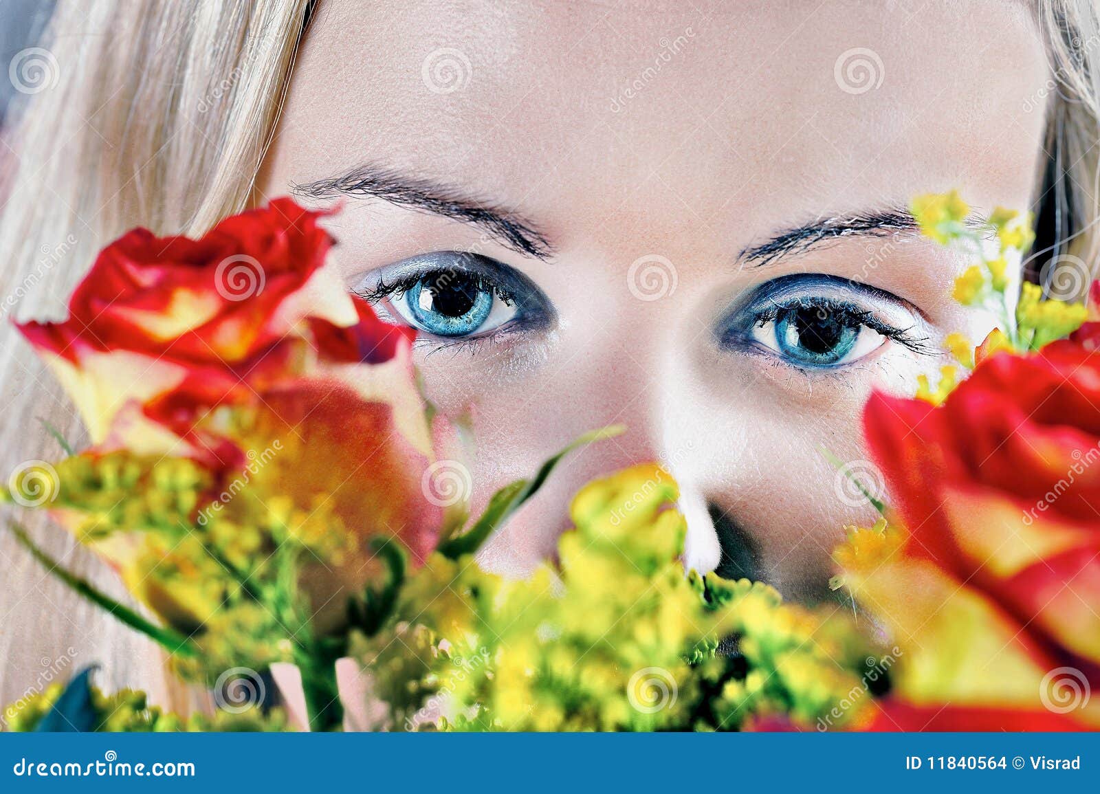 Girl and roses stock photo. Image of detail, love, girl - 11840564