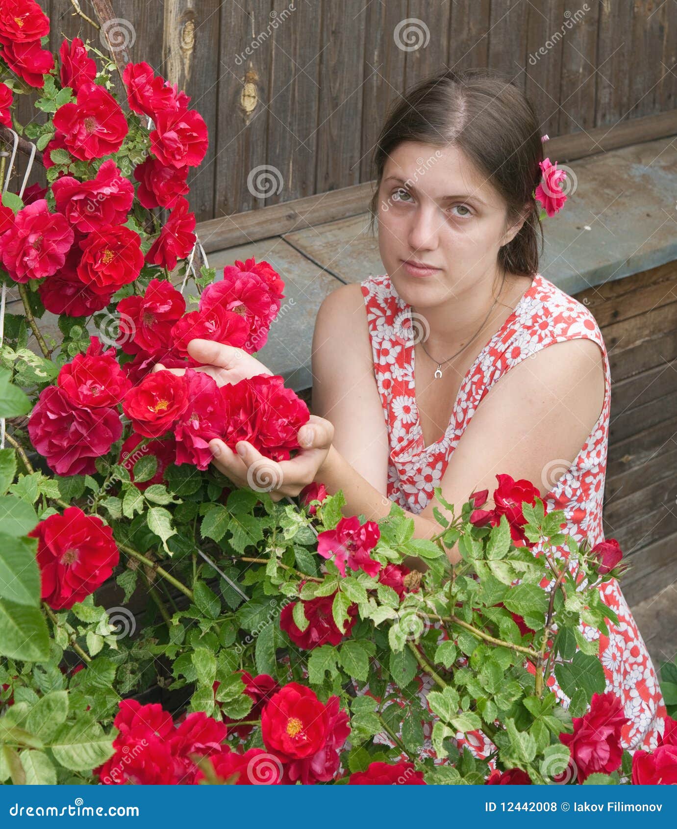 Girl with roses stock photo. Image of leisure, outdoor - 12442008