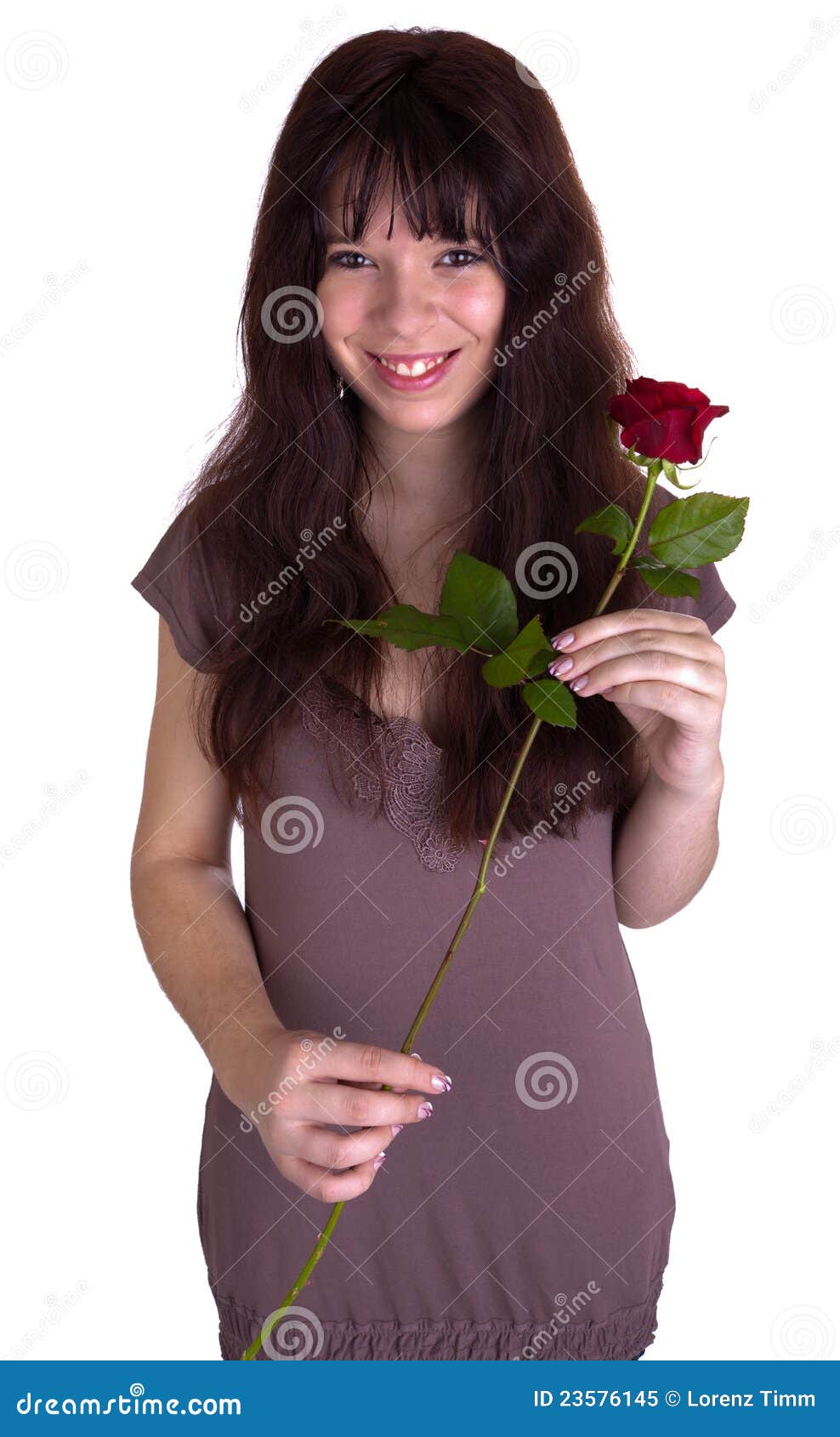 The girl with roses stock image. Image of beauty, feminine - 23576145
