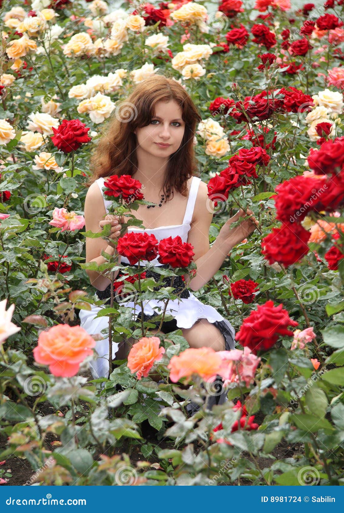 Girl and roses stock photo. Image of leaves, beautiful - 8981724