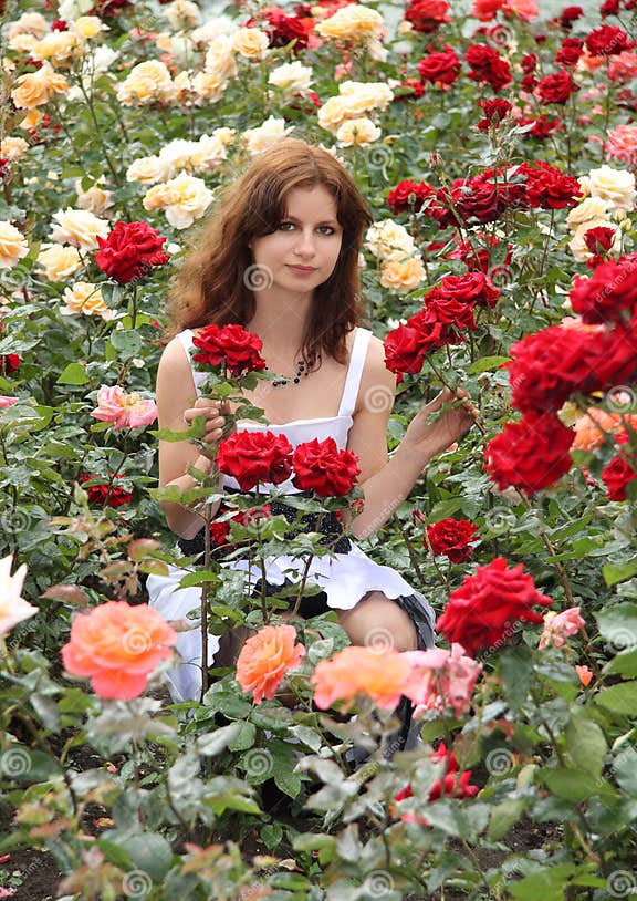 Girl and roses stock photo. Image of leaves, beautiful - 8981724