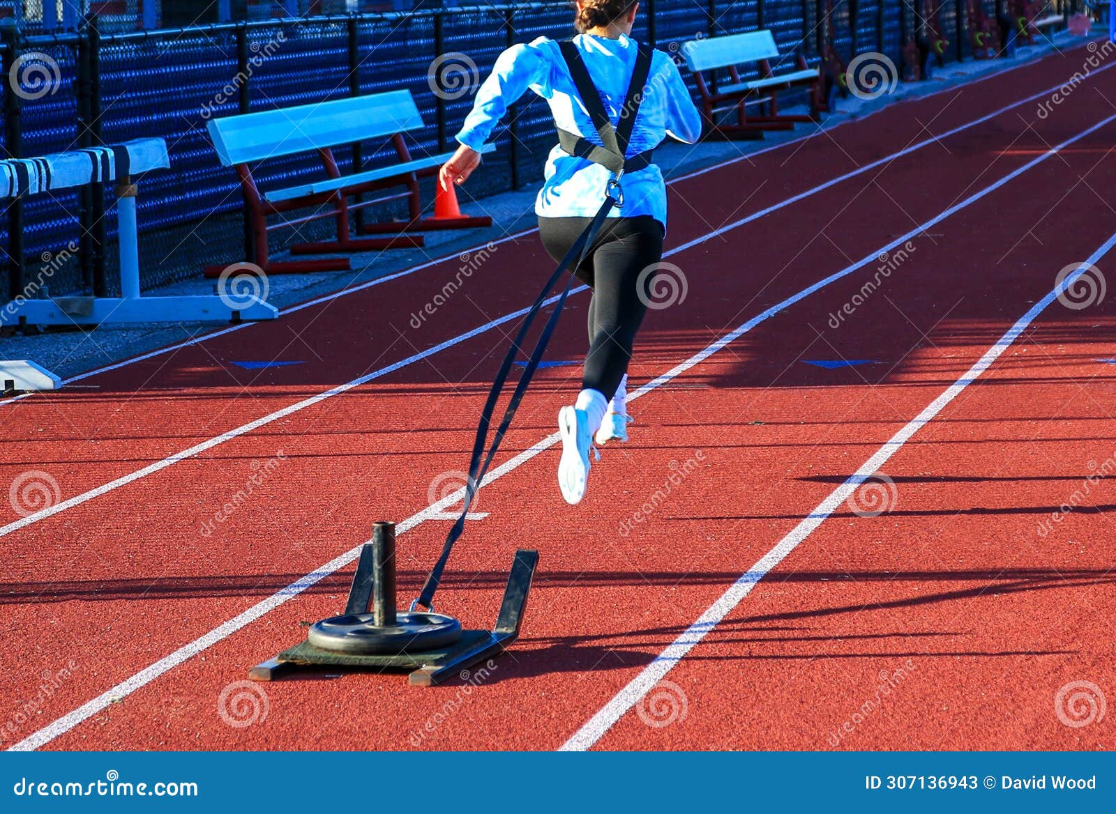 Weight Pulling Science Model Theory Project Model Displayed In Park In ...