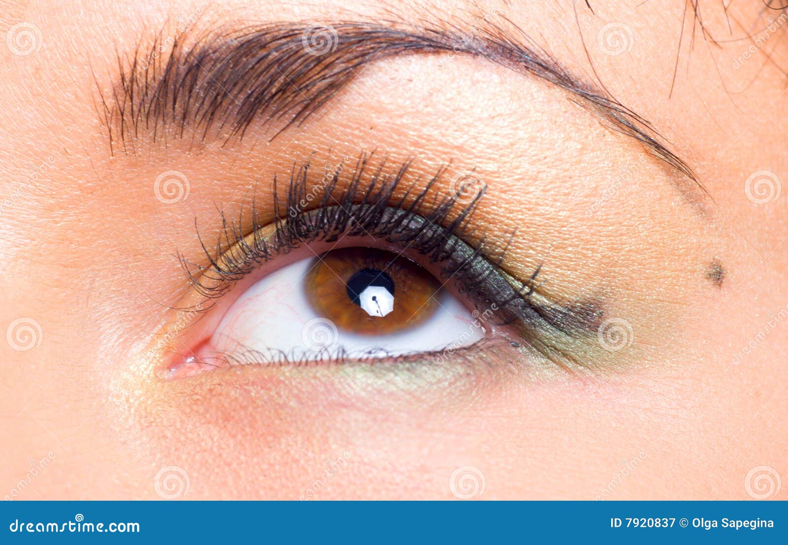 Girl s eye stock image. Image of fashion, beauty, cornea - 7920837
