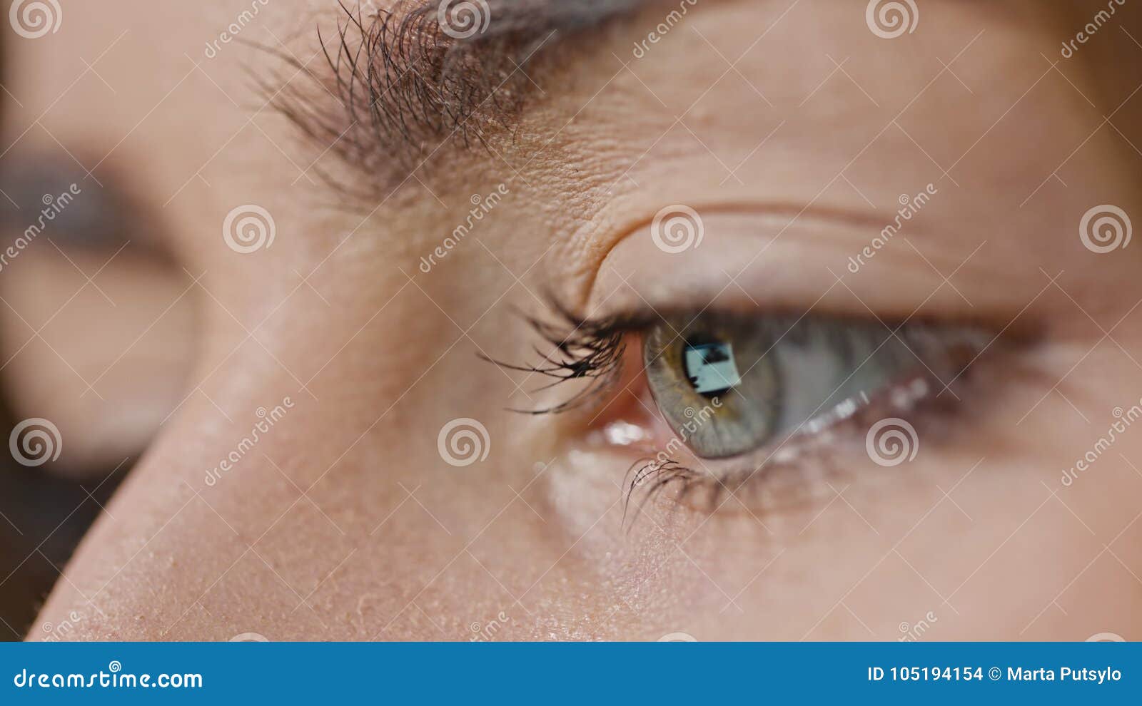Girl`s Eye with Reflection of Screen Stock Photo - Image of digital ...
