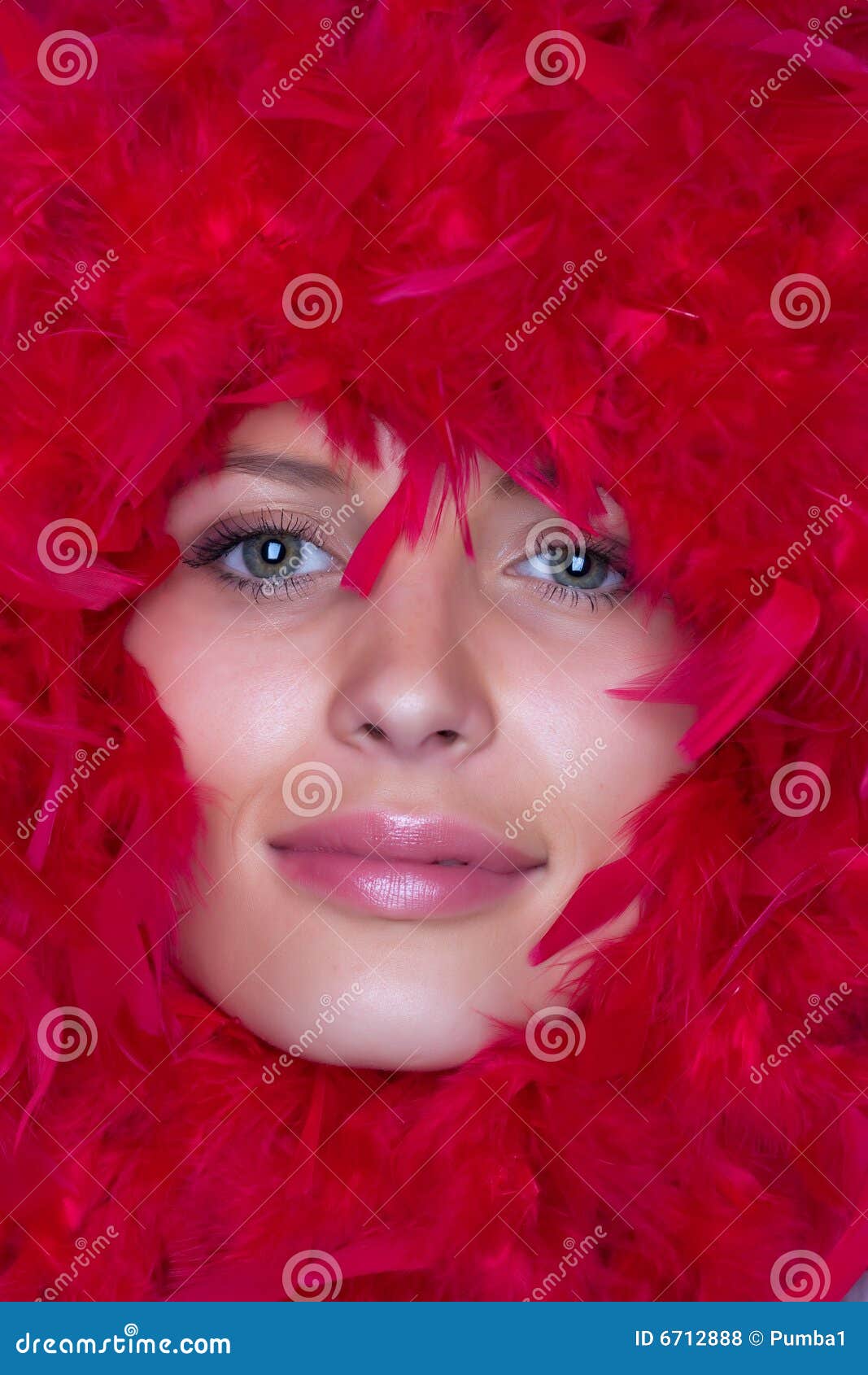 Girl S Face in a Frame of Red Feathers Stock Photo - Image of personal ...