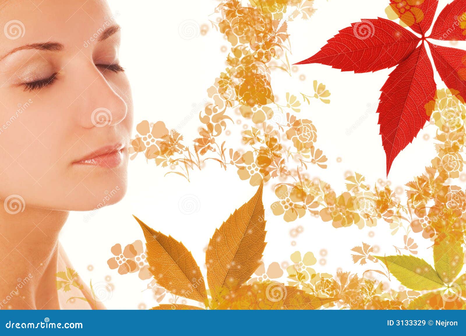Girl s face and leaves stock image. Image of bright, floral - 3133329