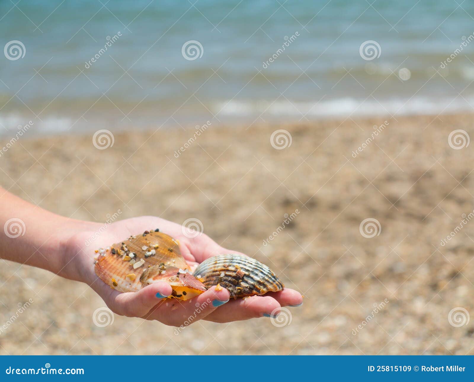 Hand With Seashells On The Background Of The Sea Stock Photography ...
