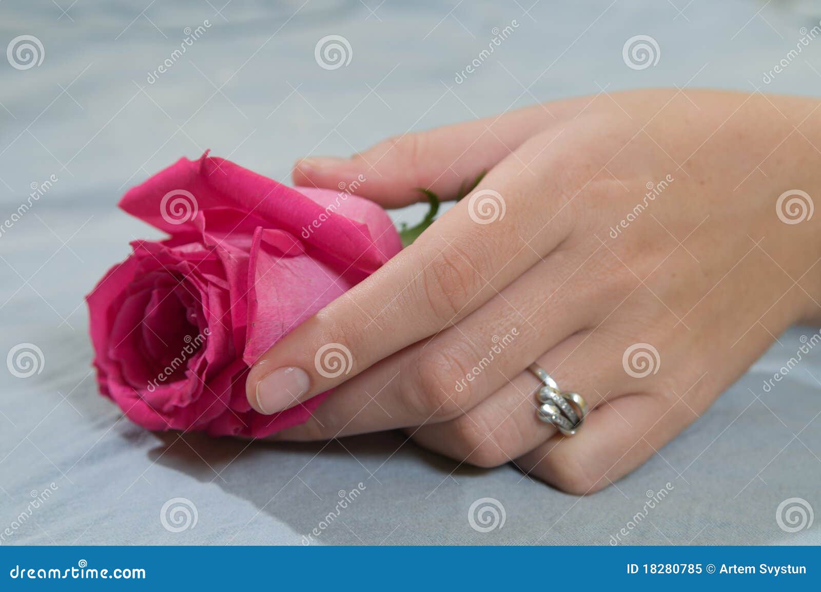 Girl s hand on pink rose stock image. Image of petal - 18280785