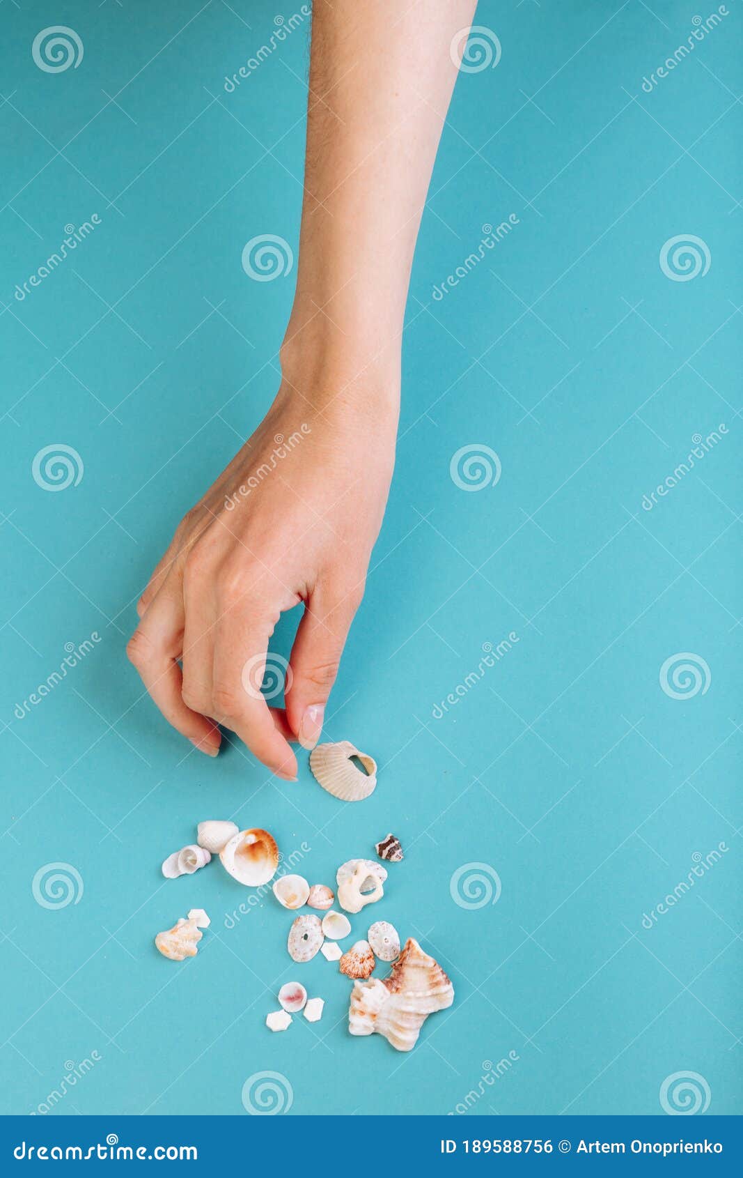 A Girl`s Hand Takes a Tiny Small Shell. Stock Photo - Image of ...