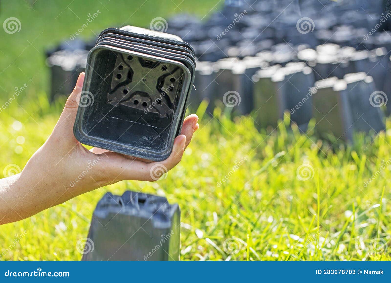 Girl S Hands Stack Empty Plastic Containers for Flowers and Seedlings ...