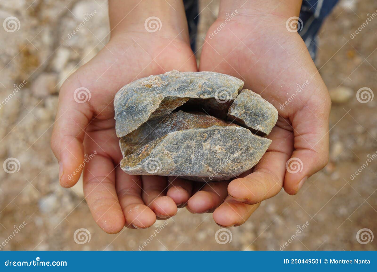 The Girl`s Two Hands Were Holding a Stone that Split into Three. Broken ...