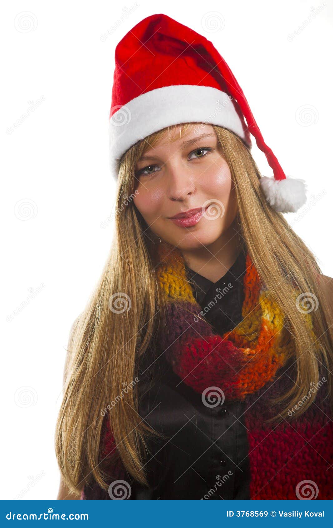Girl in the santa hat stock image. Image of female, expression - 3768569