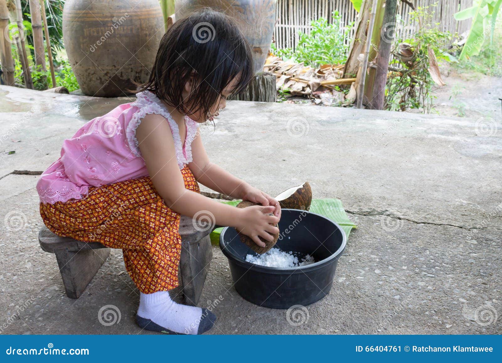 Girl scraping coconut stock image. Image of milk, open - 66404761