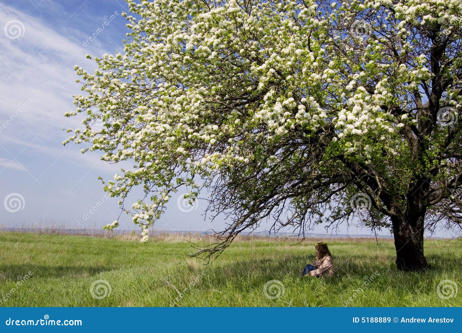 Girl in a Shadow of a Blossoming Tree Stock Image - Image of look ...