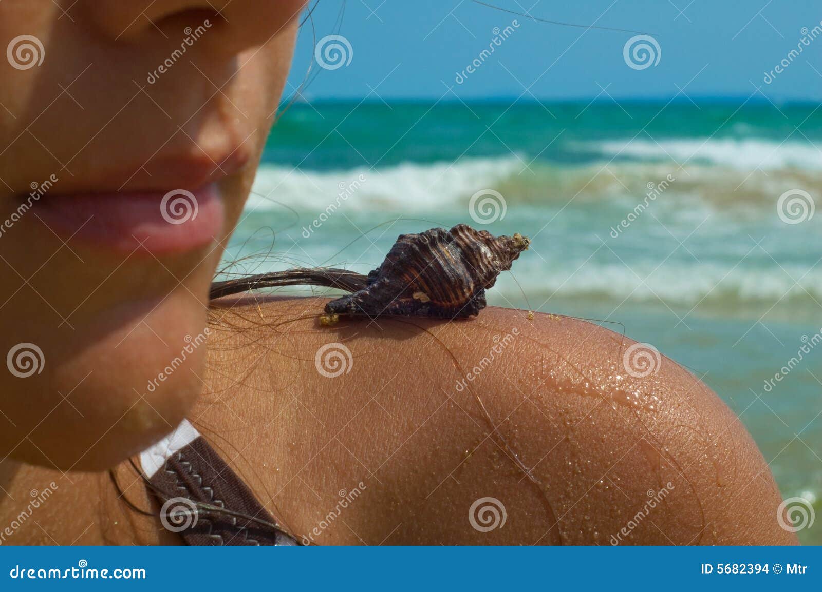 Girl with a shell stock photo. Image of girl, beach, beautiful - 5682394