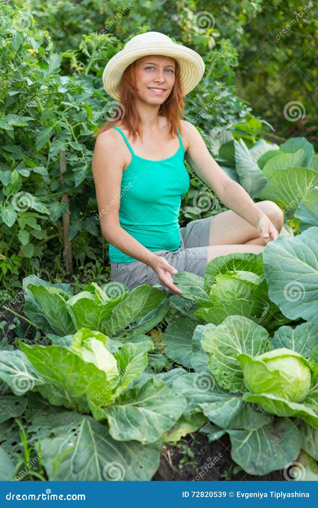 Girl Shows a Crop of Cabbage Stock Image - Image of female, garden ...