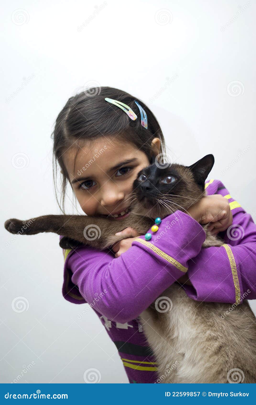 Girl with siamese cat stock image. Image of hugging, cute - 22599857