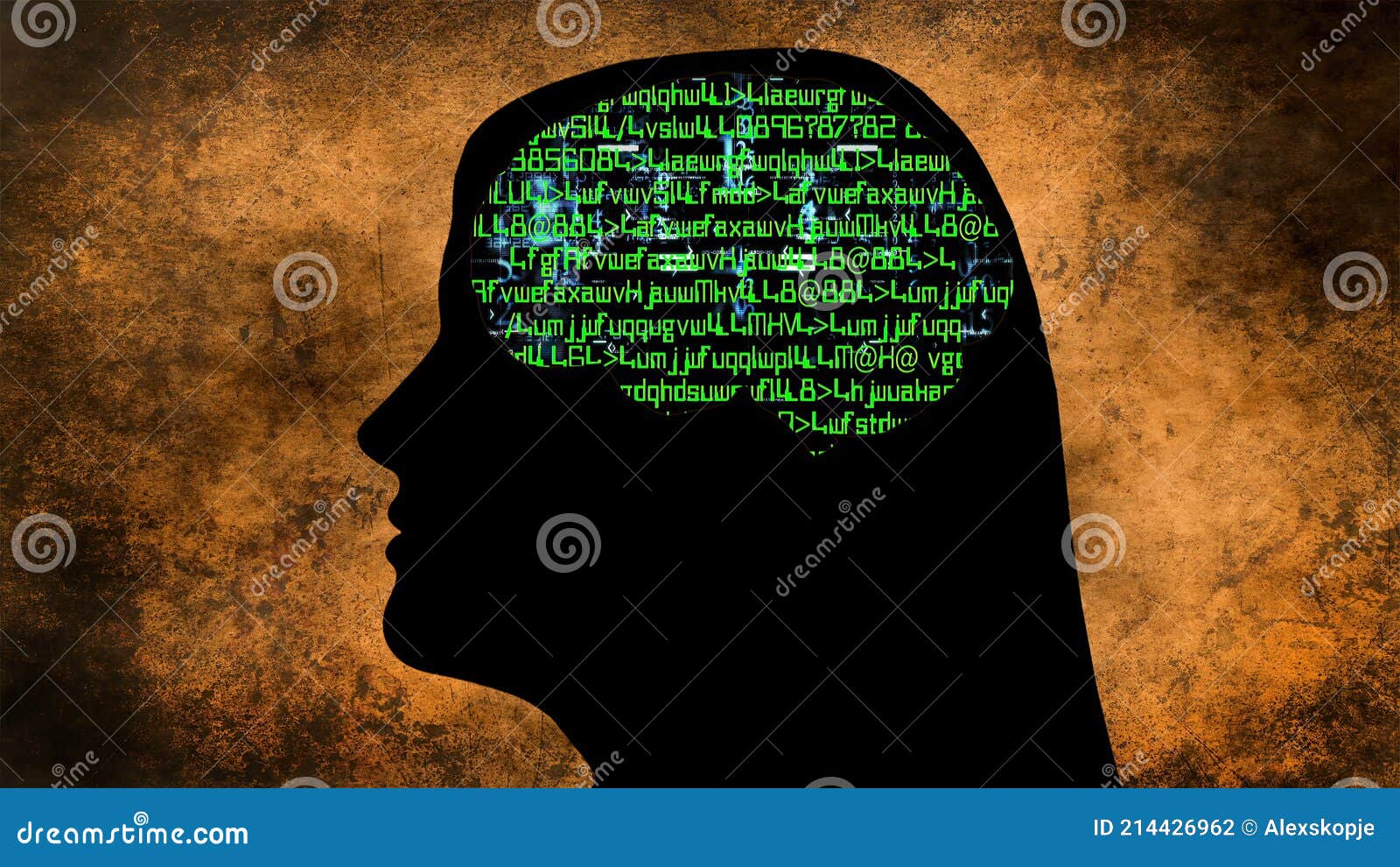 Girl Silouette and Brain Coding in Mind Stock Photo - Image of ...