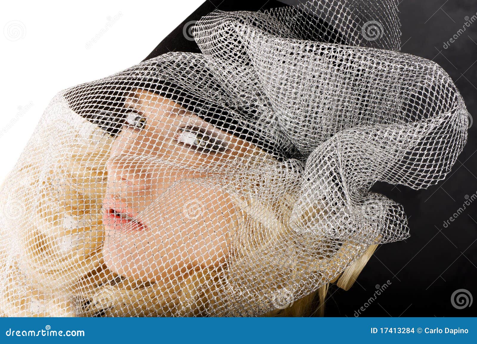 The girl with silver net stock photo. Image of adult - 17413284