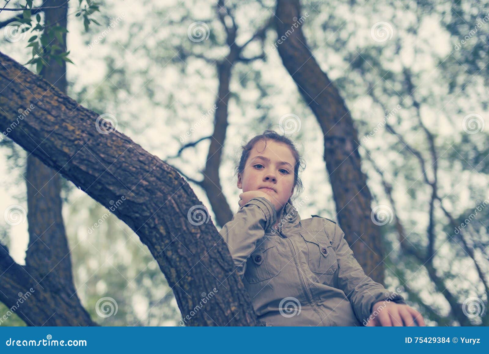 Girl sit on the tree stock photo. Image of pose, rest - 75429384