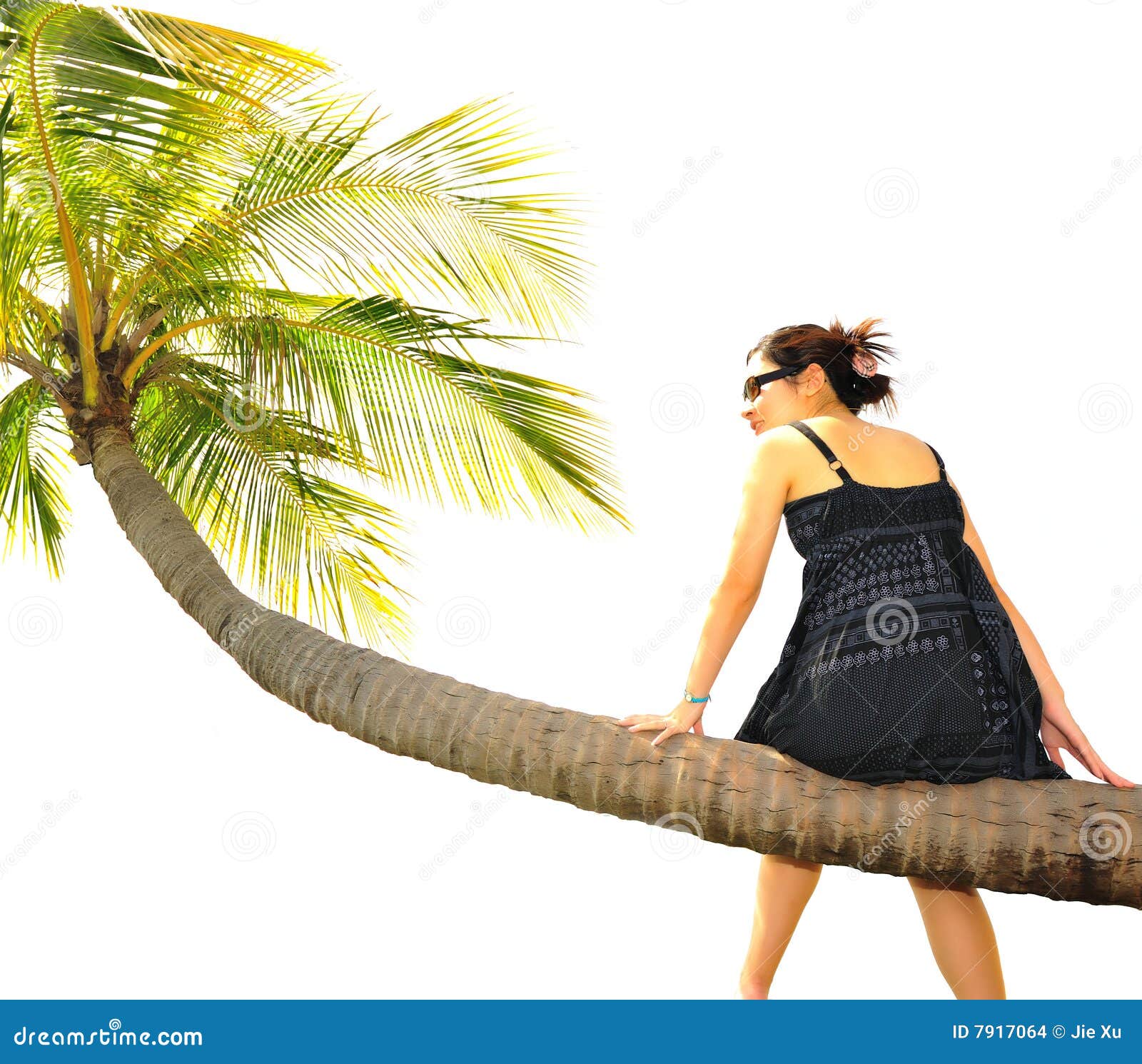 Girl Sitting on a Coconut Tree Stock Photo - Image of girl, tree: 7917064