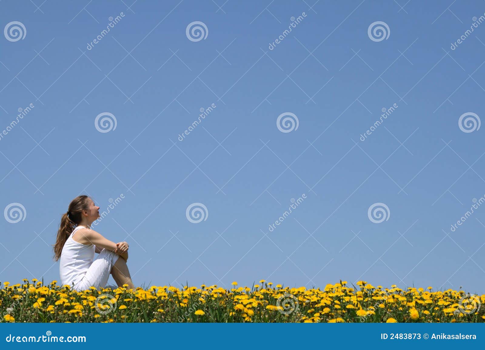 Girl sitting in a field stock image. Image of blue, dreaming - 2483873