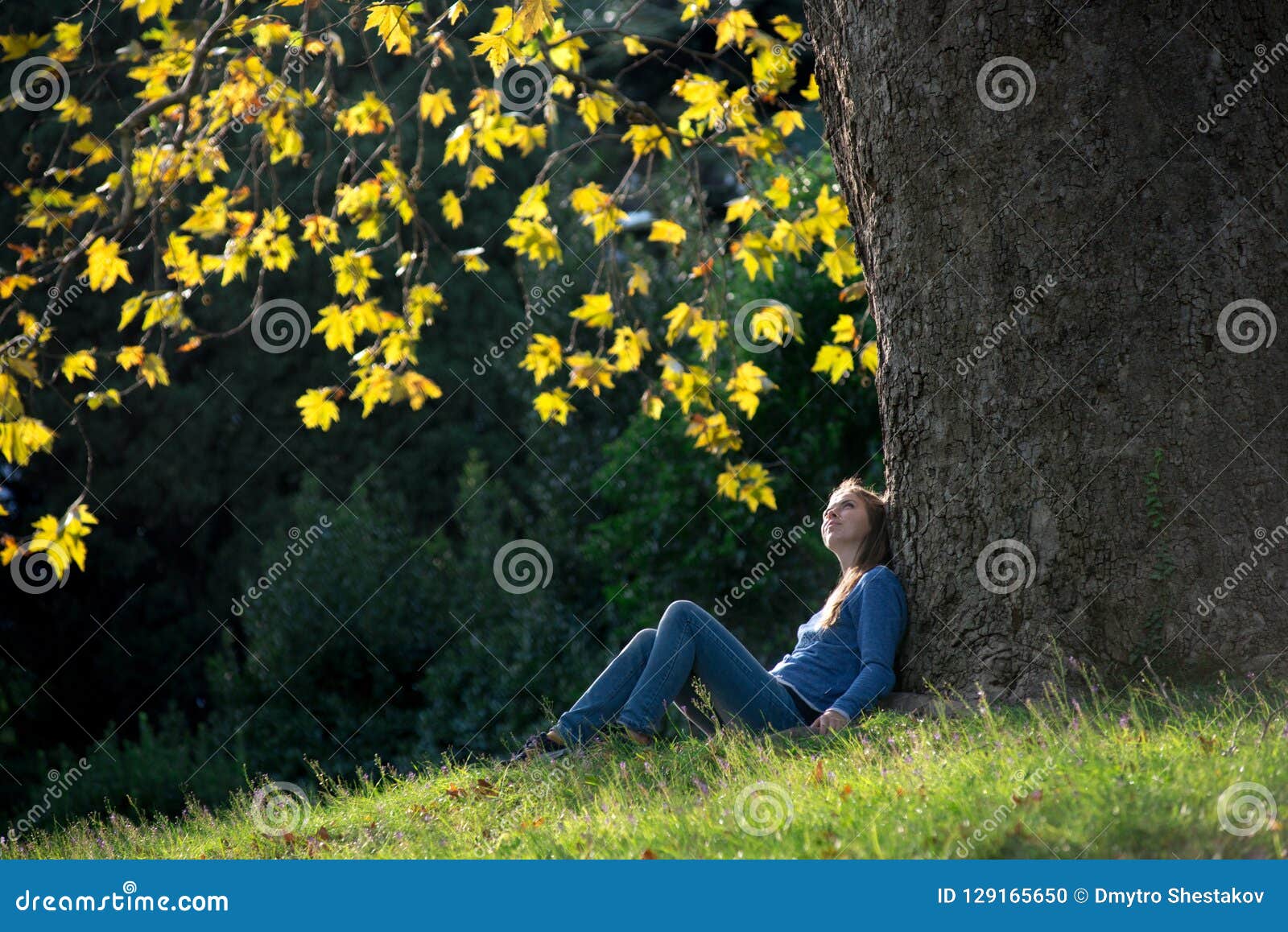 Girl Sitting on the Grass Under a Maple Tree in Autumn Stock Photo ...