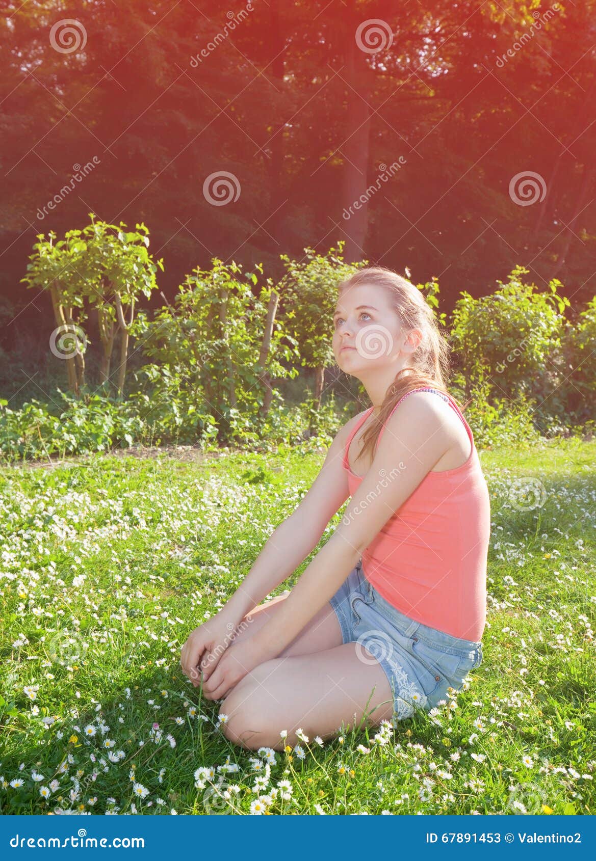 Girl sitting on grass stock image. Image of nature, meadow - 67891453