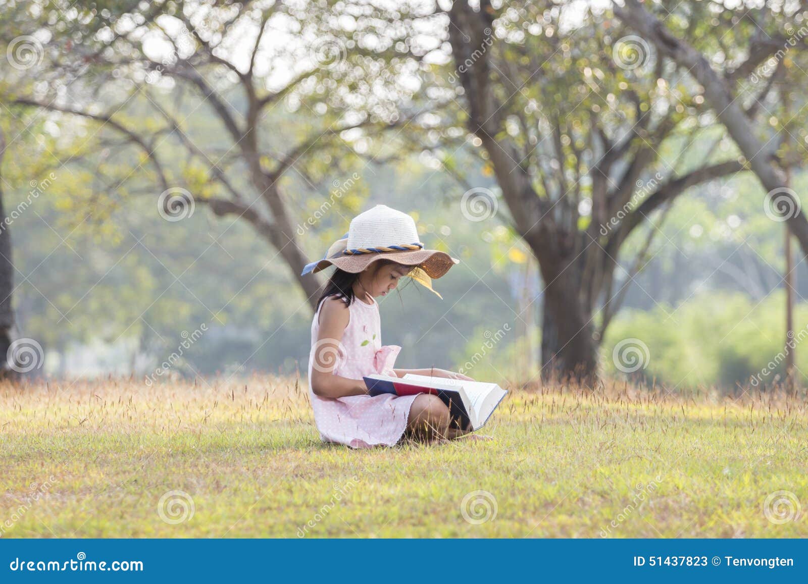 Girl Sitting Reading a Book. Stock Image - Image of books, girl: 51437823
