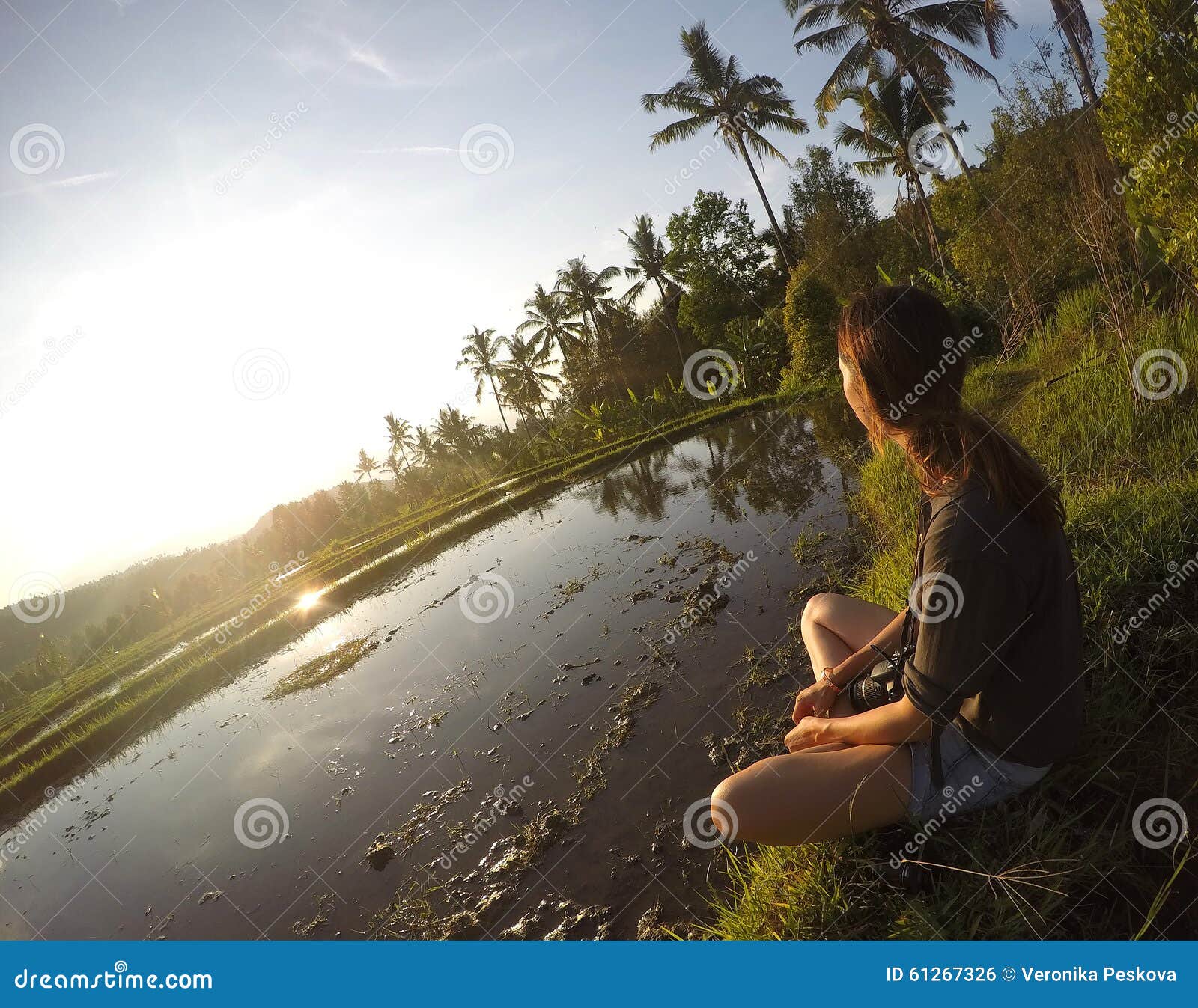 Girl Sitting in Rice Fields during Sunset Stock Photo - Image of grain ...