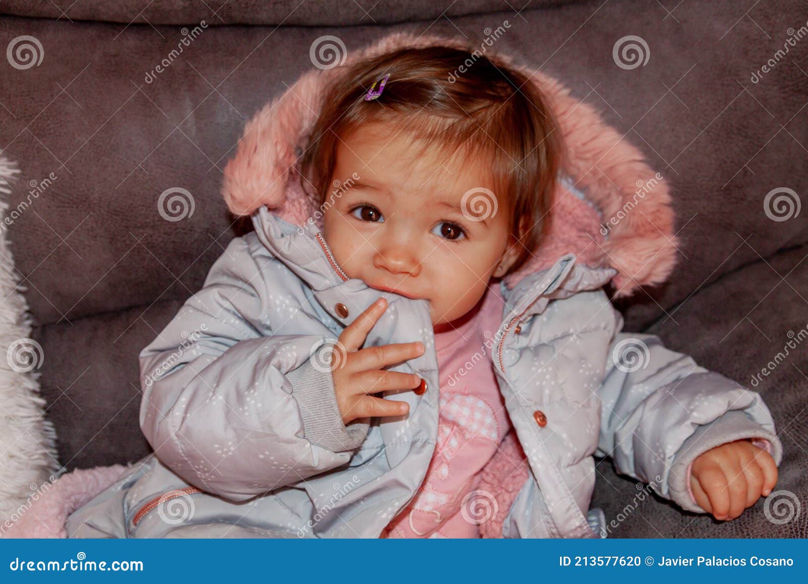Girl Sitting on the Sofa Biting Her Clothes Stock Photo - Image of ...